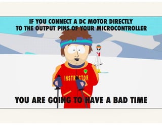 Raspberry Pi - Cat Chaser | PDF | Computing | Technology & Computing