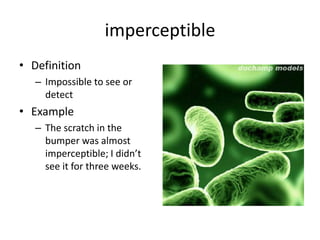 Chaser vocab | PPT | Free Download