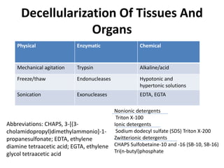 Chasing the holy grail of regenerative | PPTX