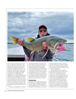 Chasing Unicorns In The Land Of The Midnight Sun | PDF