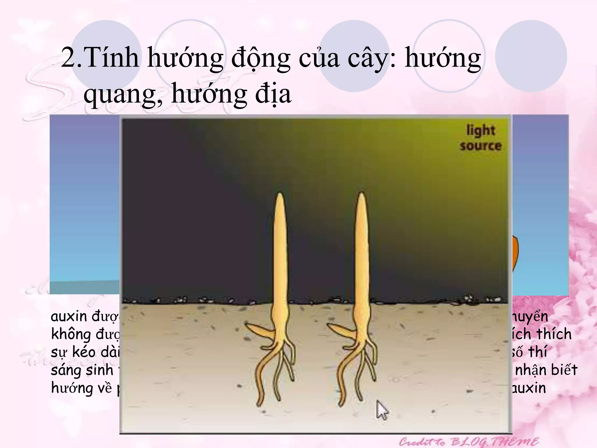 Chat dieu-hoa-sinh-truong-thuc-vat | PPT