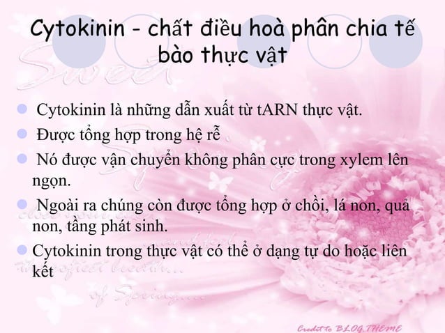 Chat dieu-hoa-sinh-truong-thuc-vat | PPT