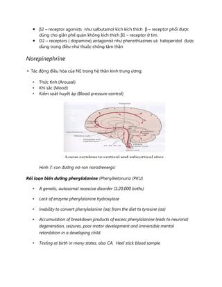 Các chất dẫn truyền thần kinh - Đại học Y dược TPHCM | PDF