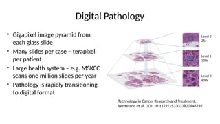 Generative AI and the High Resolution Haystack | PPTX