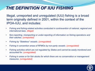 Combatting IUU Fishing through the implementation of the Port State ...