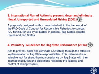 Combatting IUU Fishing through the implementation of the Port State ...