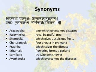 Chaturangula Kalpa & Tilvak Kalpa | PPT