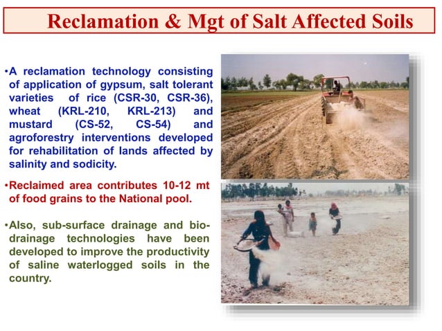 Towards Healthy Soils: the experience of Soil Health Programme in India | PPT