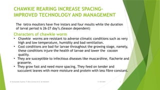 All details About the Chawkie worms.pptx