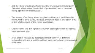 All details About the Chawkie worms.pptx