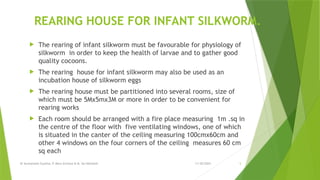 All details About the Chawkie worms.pptx