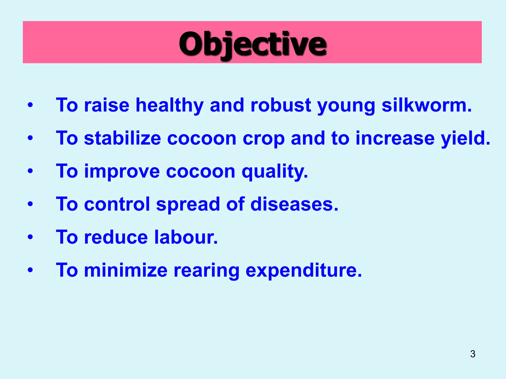 chawki rearing presentation with detail information about chawki rearng.ppt