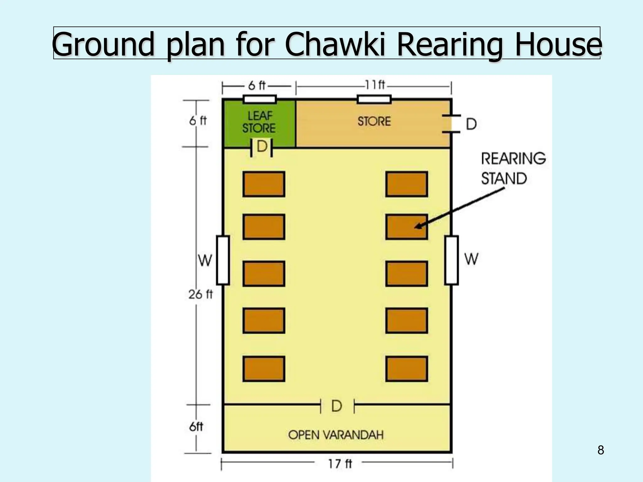 chawki rearing presentation with detail information about chawki rearng.ppt
