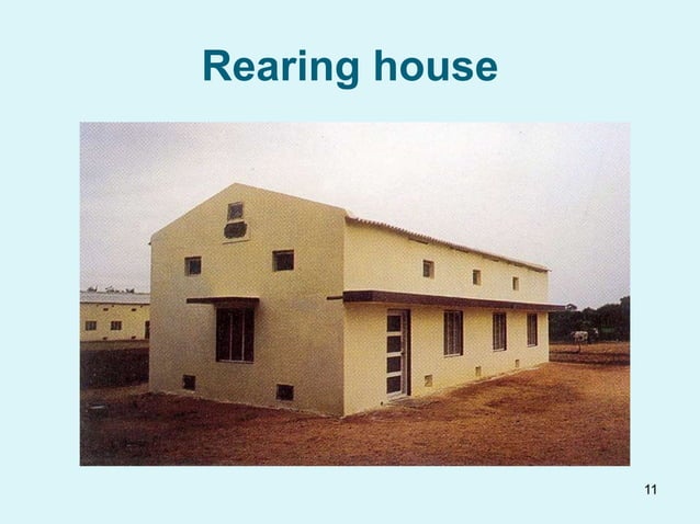 chawki rearing presentation with detail information about chawki rearng ...