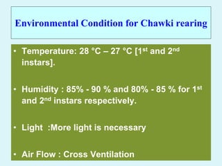 chawki rearing presentation with detail information about chawki rearng.ppt