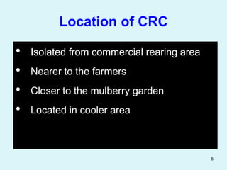 chawki rearing presentation with detail information about chawki rearng.ppt