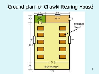 chawki rearing presentation with detail information about chawki rearng.ppt