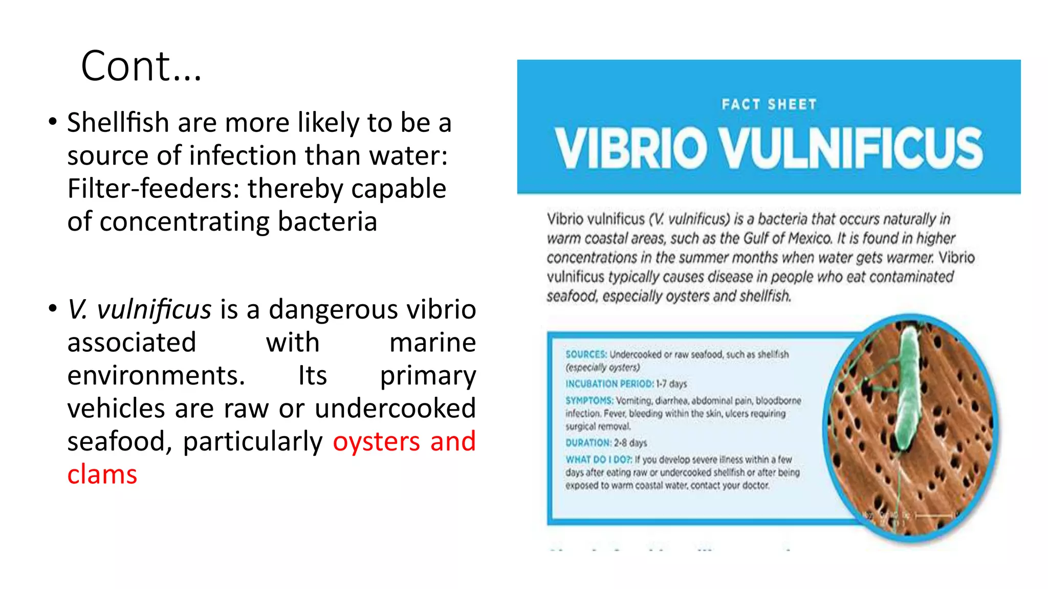 Risk assessment of seafoods with respect to algal, fungal and other ...