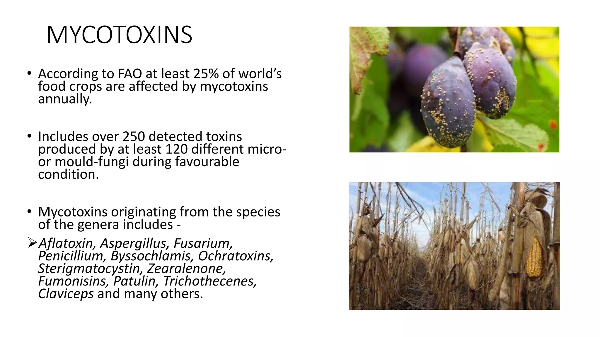 Risk assessment of seafoods with respect to algal, fungal and other ...