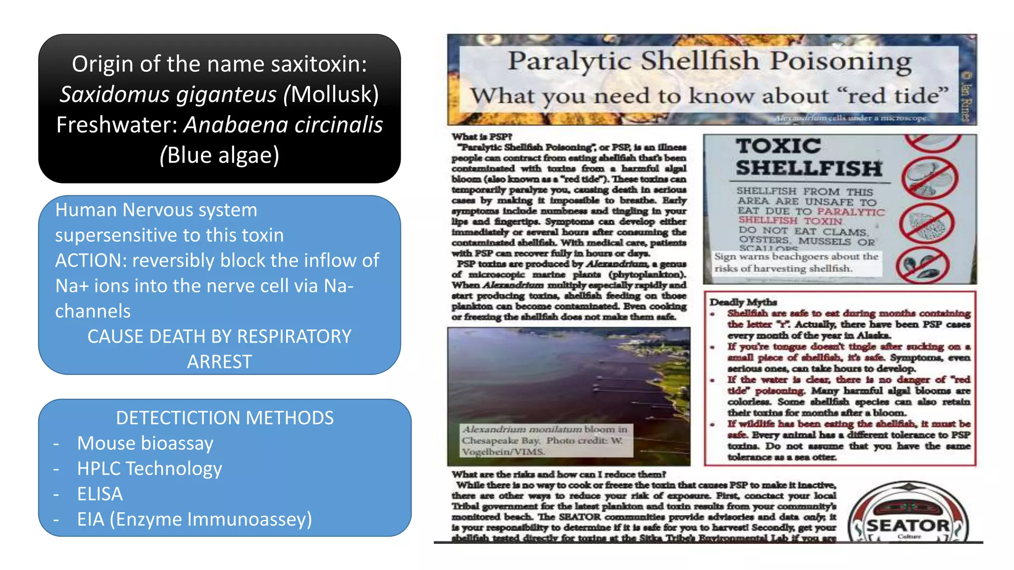 Risk assessment of seafoods with respect to algal, fungal and other ...