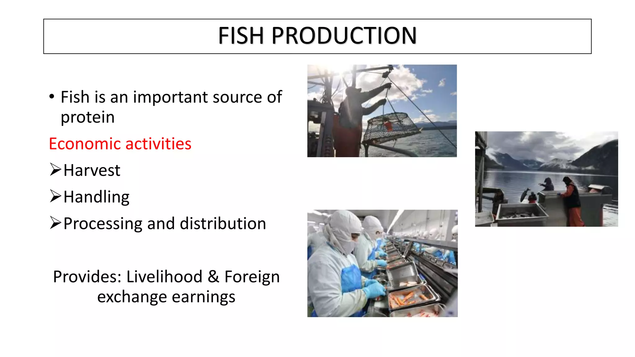 Risk assessment of seafoods with respect to algal, fungal and other ...