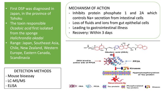 Risk assessment of seafoods with respect to algal, fungal and other ...