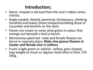 Chayote.pptx