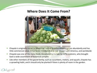 What is Chayote? What is cho-cho? | PPT