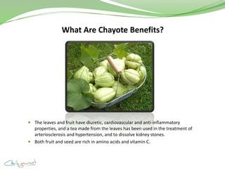 What is Chayote? What is cho-cho? | PPT