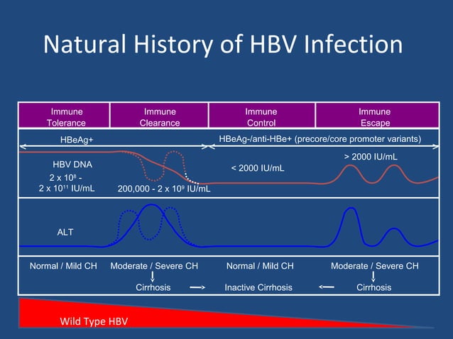 Management Of Chronic Hepatitis B | PPT