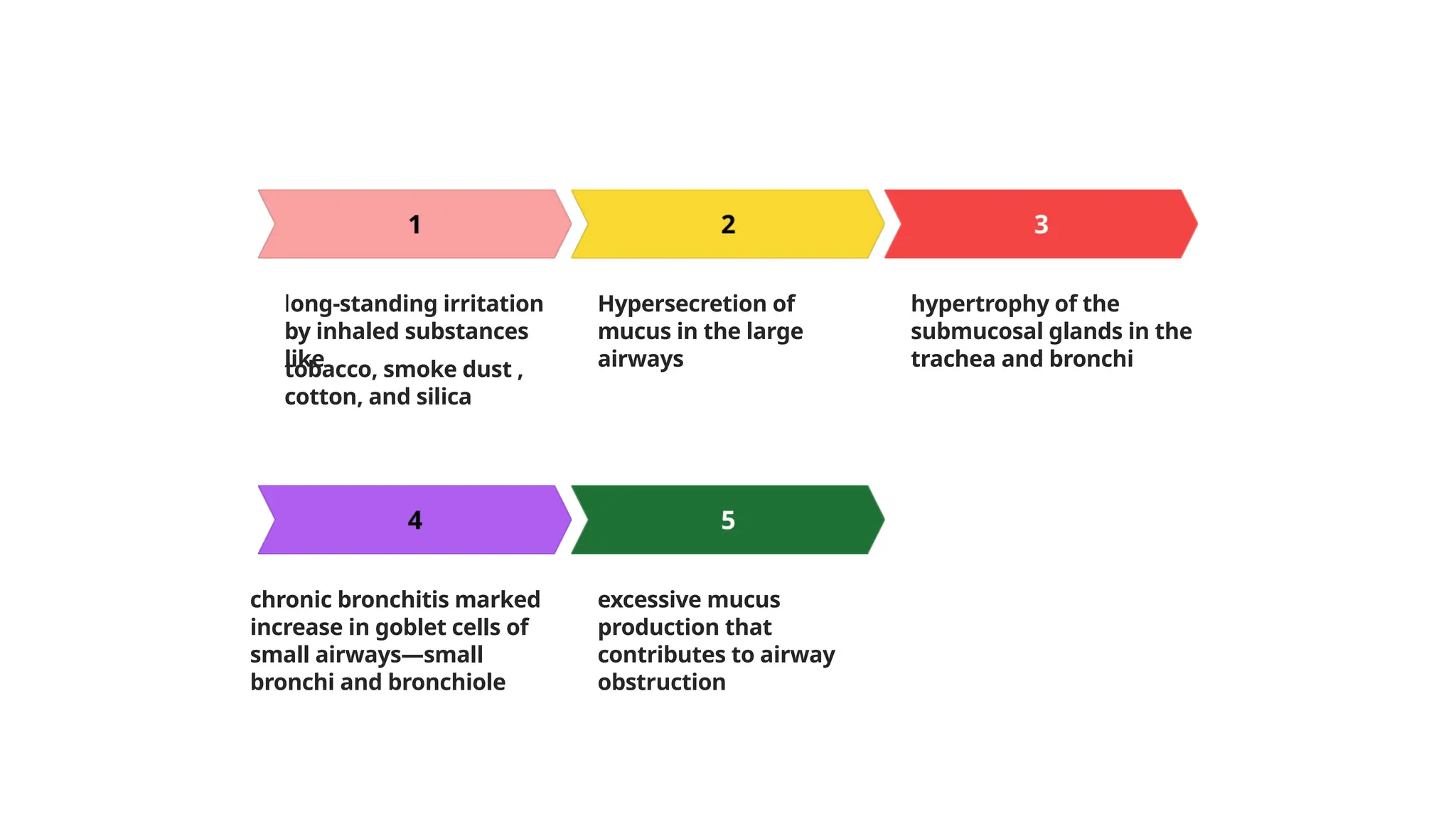 Lung, Robbins Pathology , COPD, Chronic Bronchitis | PPTX