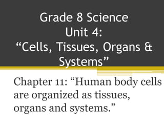 Comprehensive Overview of Human Body Cells, Tissues, Organs, and ...