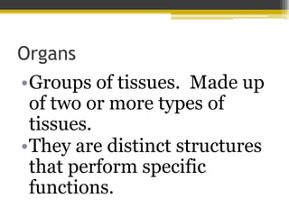 Comprehensive Overview of Human Body Cells, Tissues, Organs, and ...