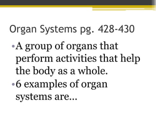Comprehensive Overview of Human Body Cells, Tissues, Organs, and ...