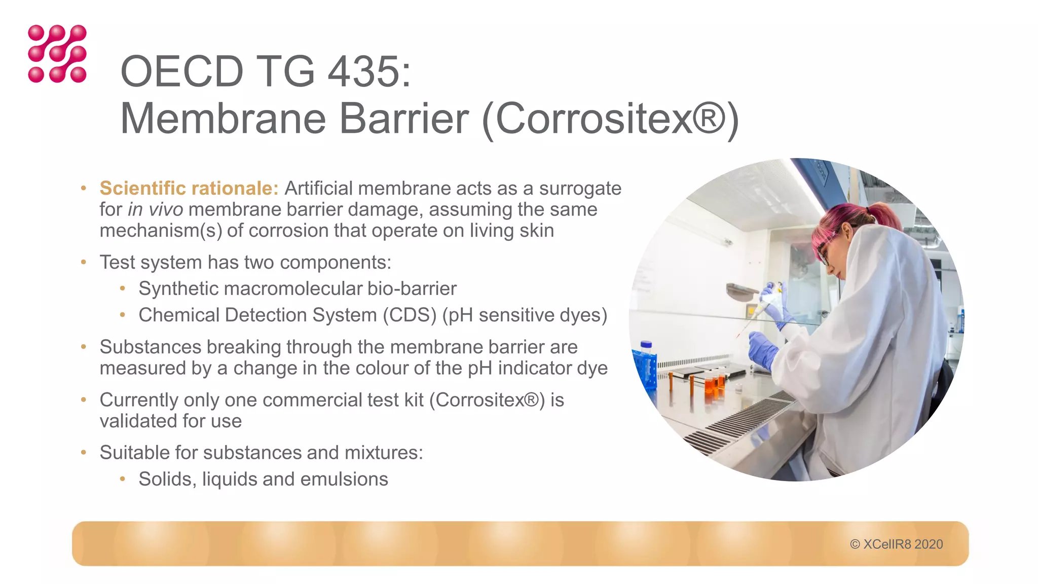 In vitro skin corrosion test methods | PDF