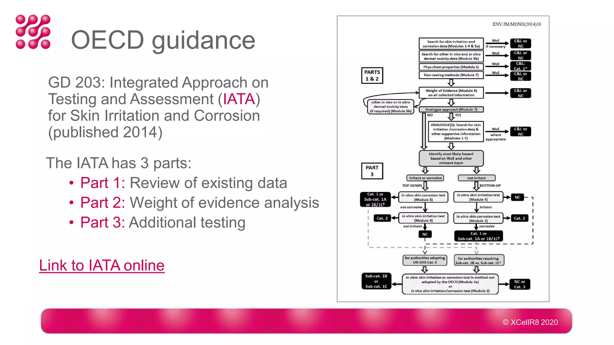In vitro skin corrosion test methods | PDF