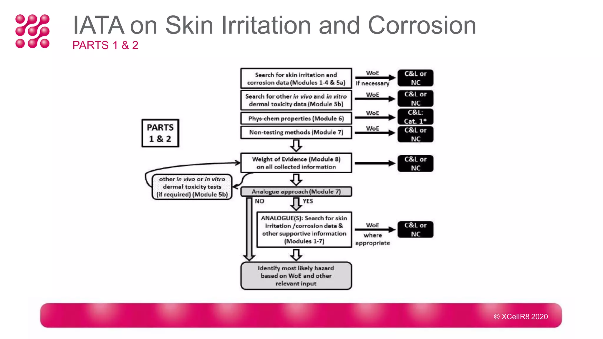 In vitro skin corrosion test methods | PDF
