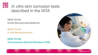In vitro skin corrosion test methods | PDF