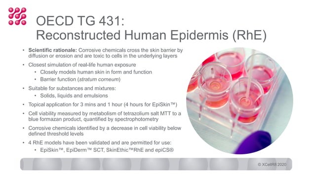 In vitro skin corrosion test methods | PDF | Skin and Dermatology ...