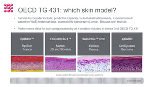 In vitro skin corrosion test methods | PDF