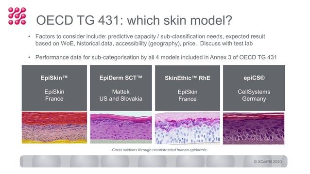 In vitro skin corrosion test methods | PDF | Skin and Dermatology ...