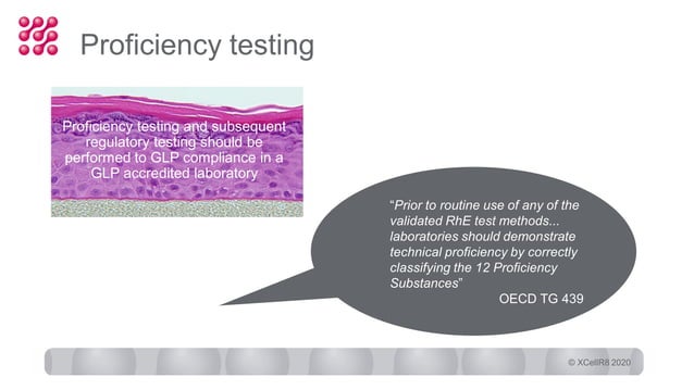 In vitro skin corrosion test methods | PDF | Skin and Dermatology ...