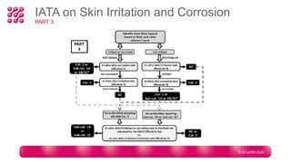 In vitro skin corrosion test methods | PDF