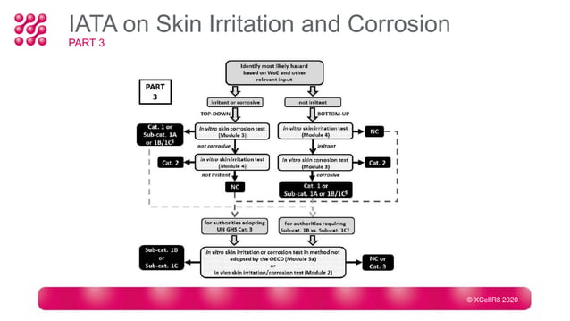 In vitro skin corrosion test methods | PDF | Skin and Dermatology ...