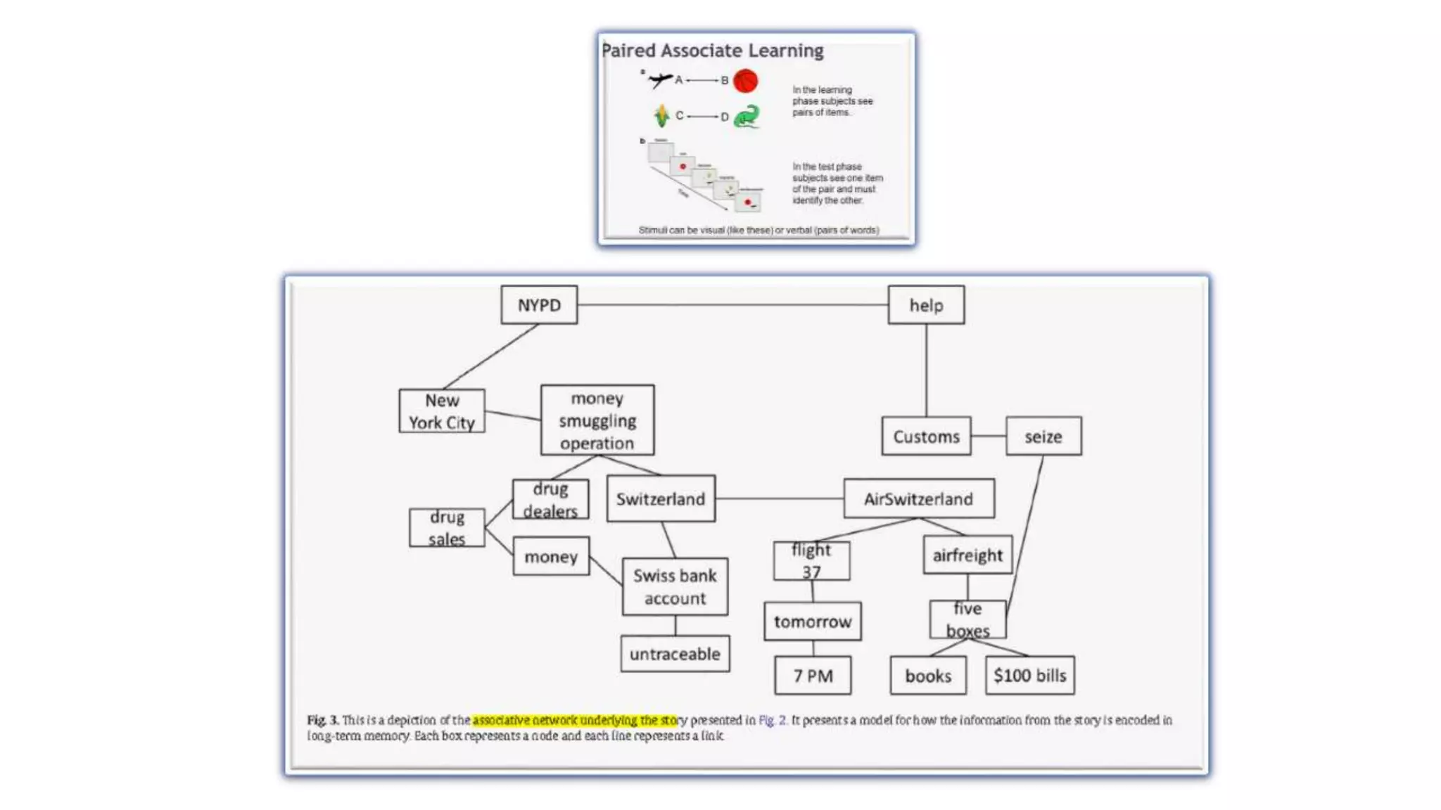 The Evolution of the Cattell-Horn-Carrol (CHC) Theory of Intelligence ...