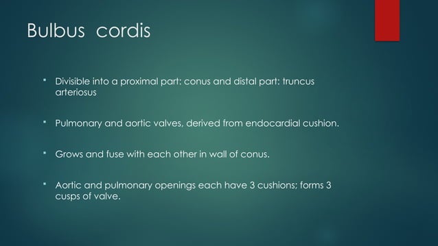 CONGENITAL HEART DISEASE PART 1 FOR MBBS | PPT