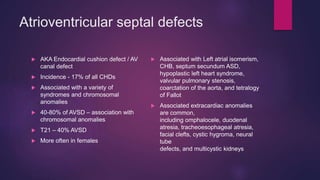 Antenatal Diagnosis of Fetal Heart Disease | PPTX