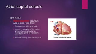 Antenatal Diagnosis of Fetal Heart Disease | PPTX