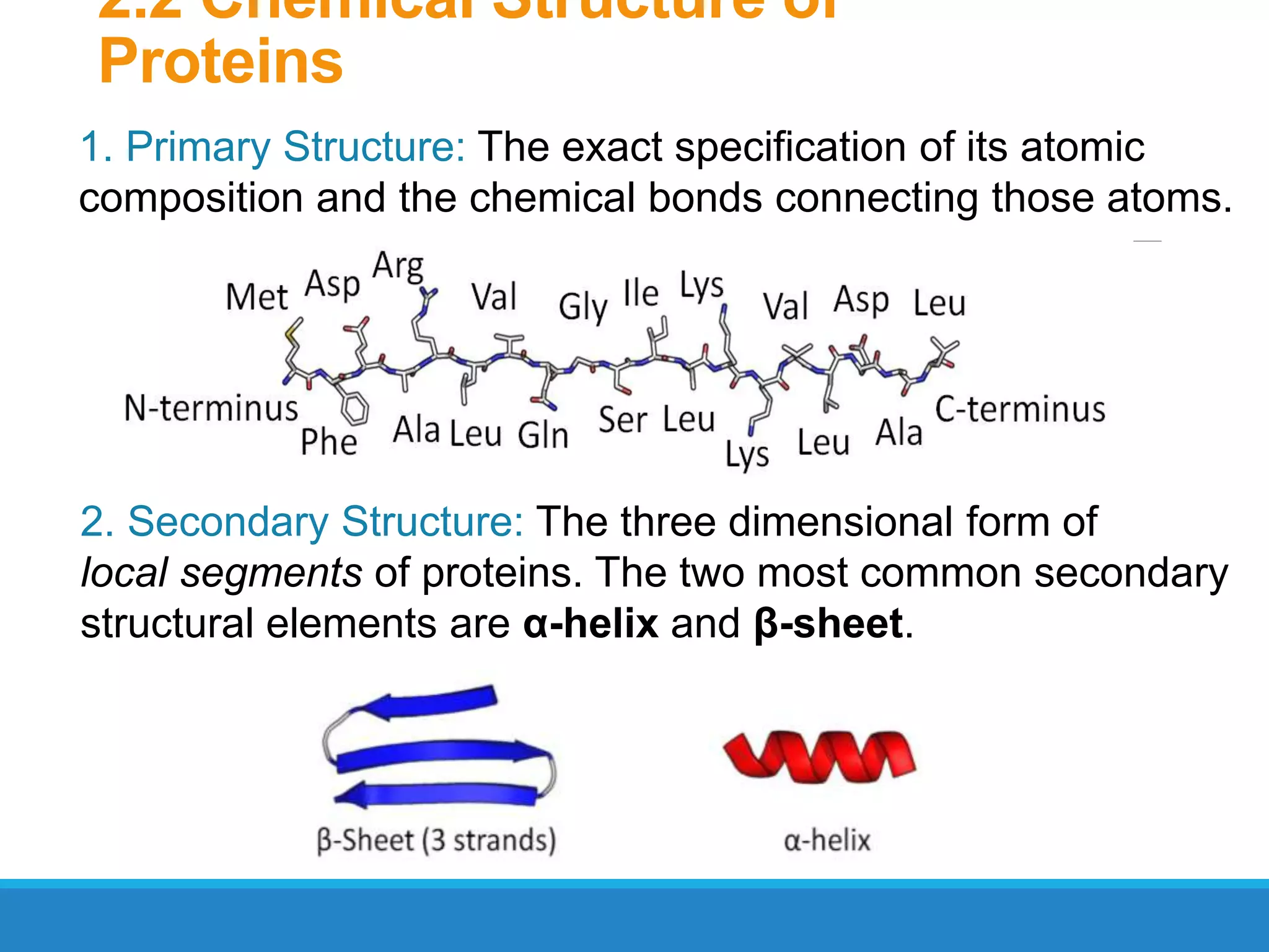 Peptides and Proteins | PPTX