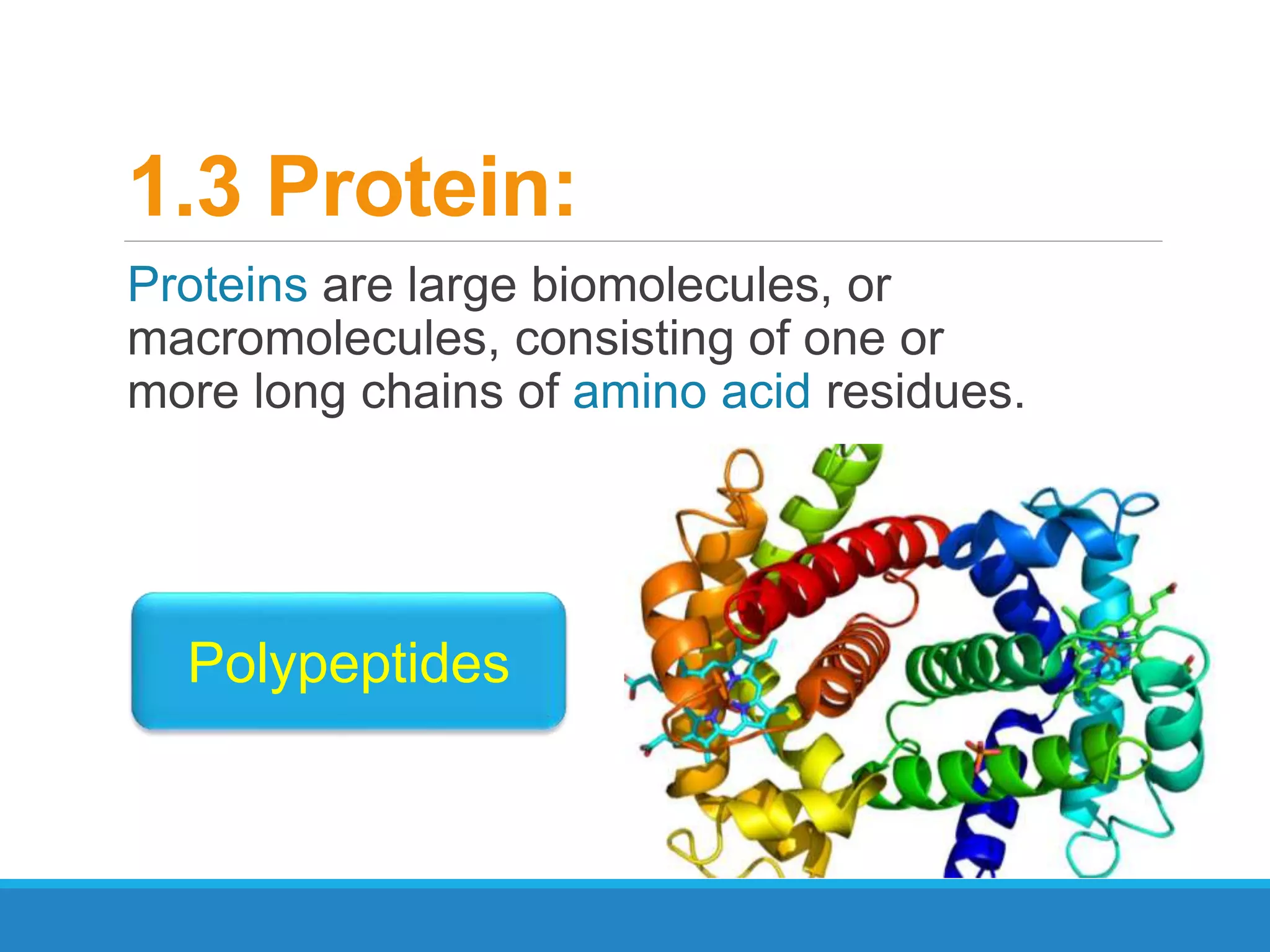Peptides and Proteins | PPTX